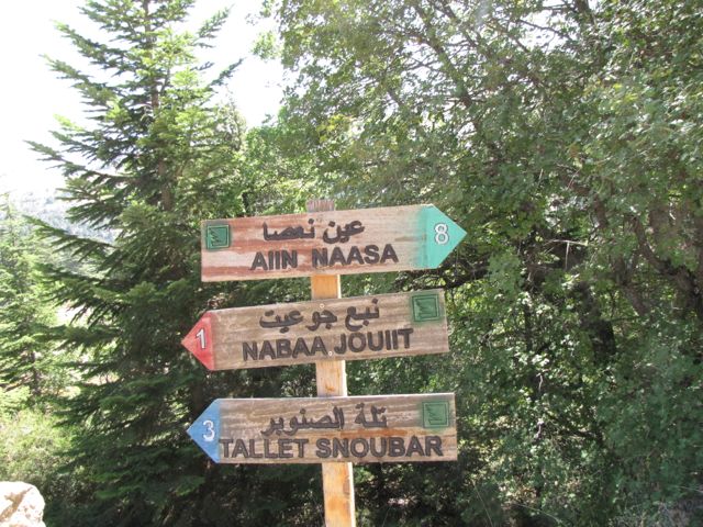 Hiking to Horsh Ehden - ihjoz