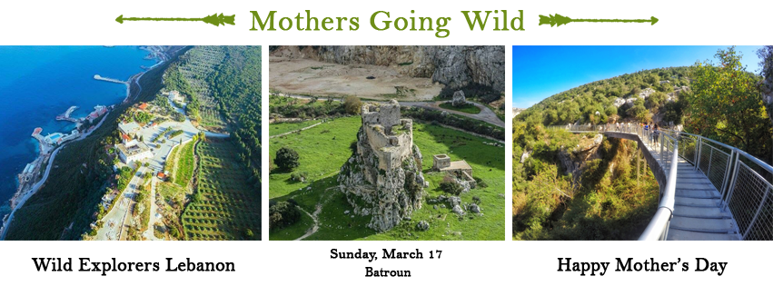 Mothers Going Wild - ihjoz