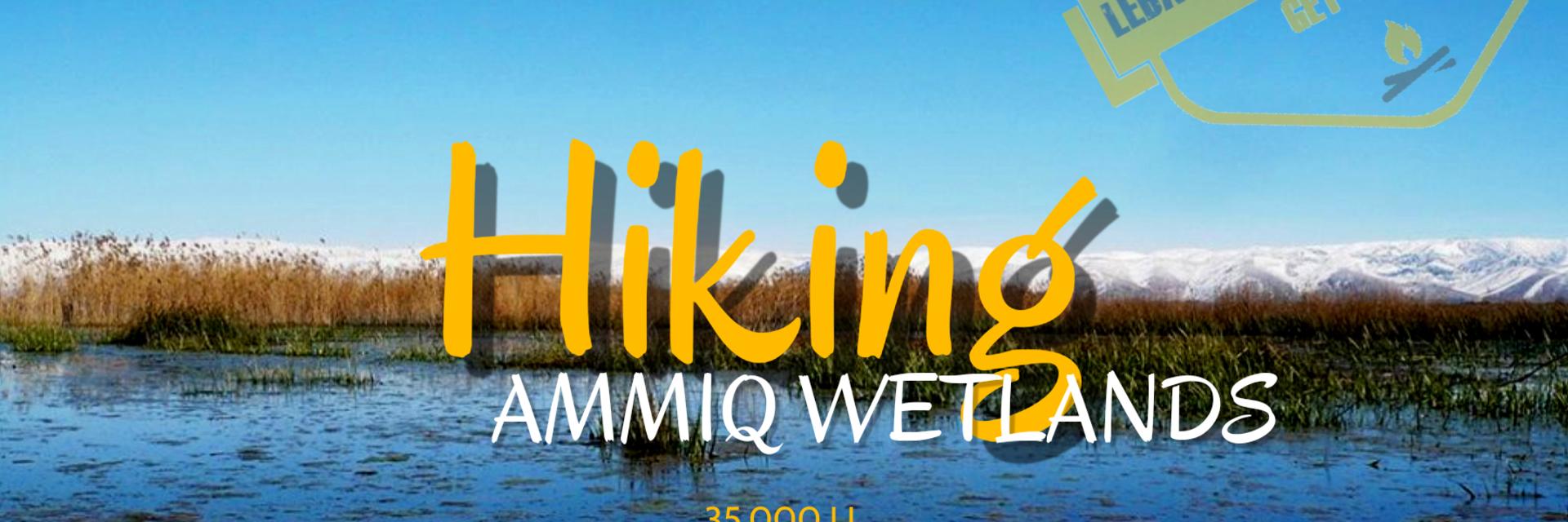 HIKING in Ammiq Wetland (West Bekaa) with LEBANON OUTDOOR ACTIVITIES ...