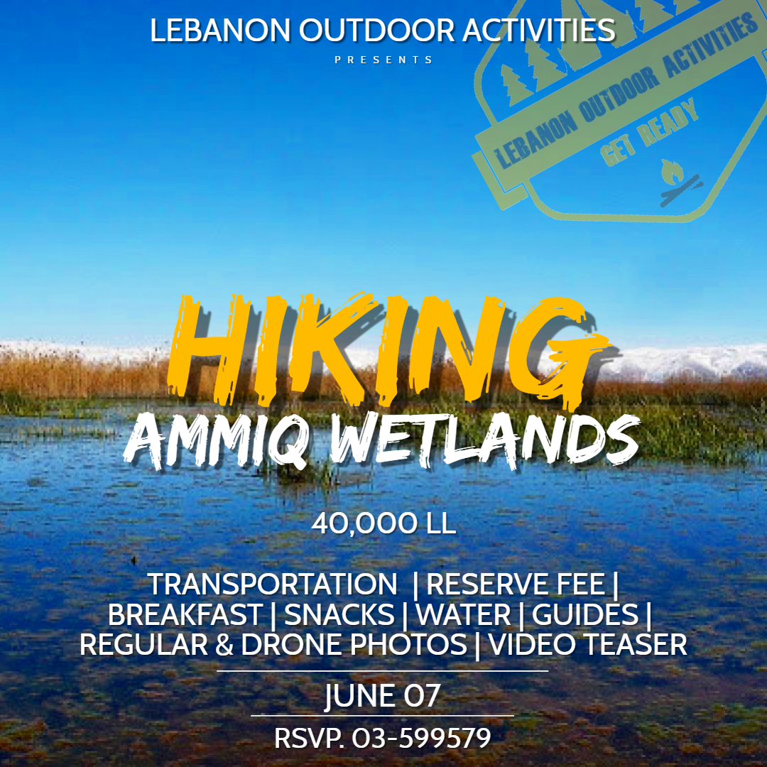 HIKING IN AMMIQ RESERVE (WETLANDS) WITH LEBANON OUTDOOR ACTIVITIES ...