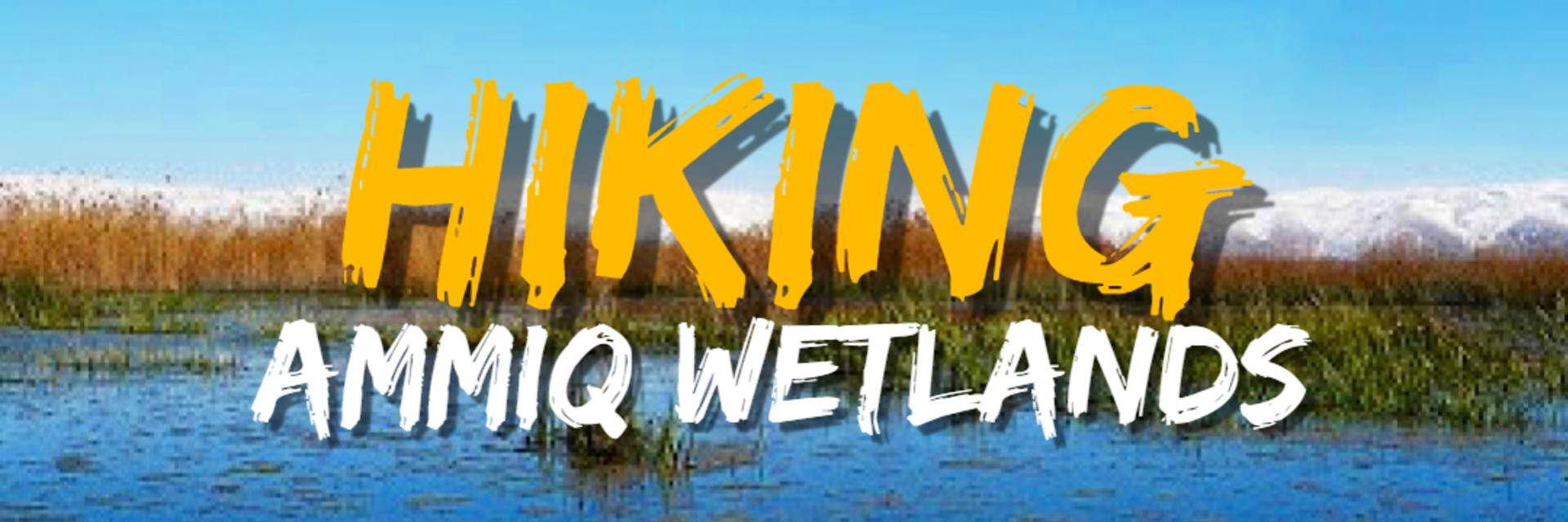 HIKING IN AMMIQ RESERVE (WETLANDS) WITH LEBANON OUTDOOR ACTIVITIES ...
