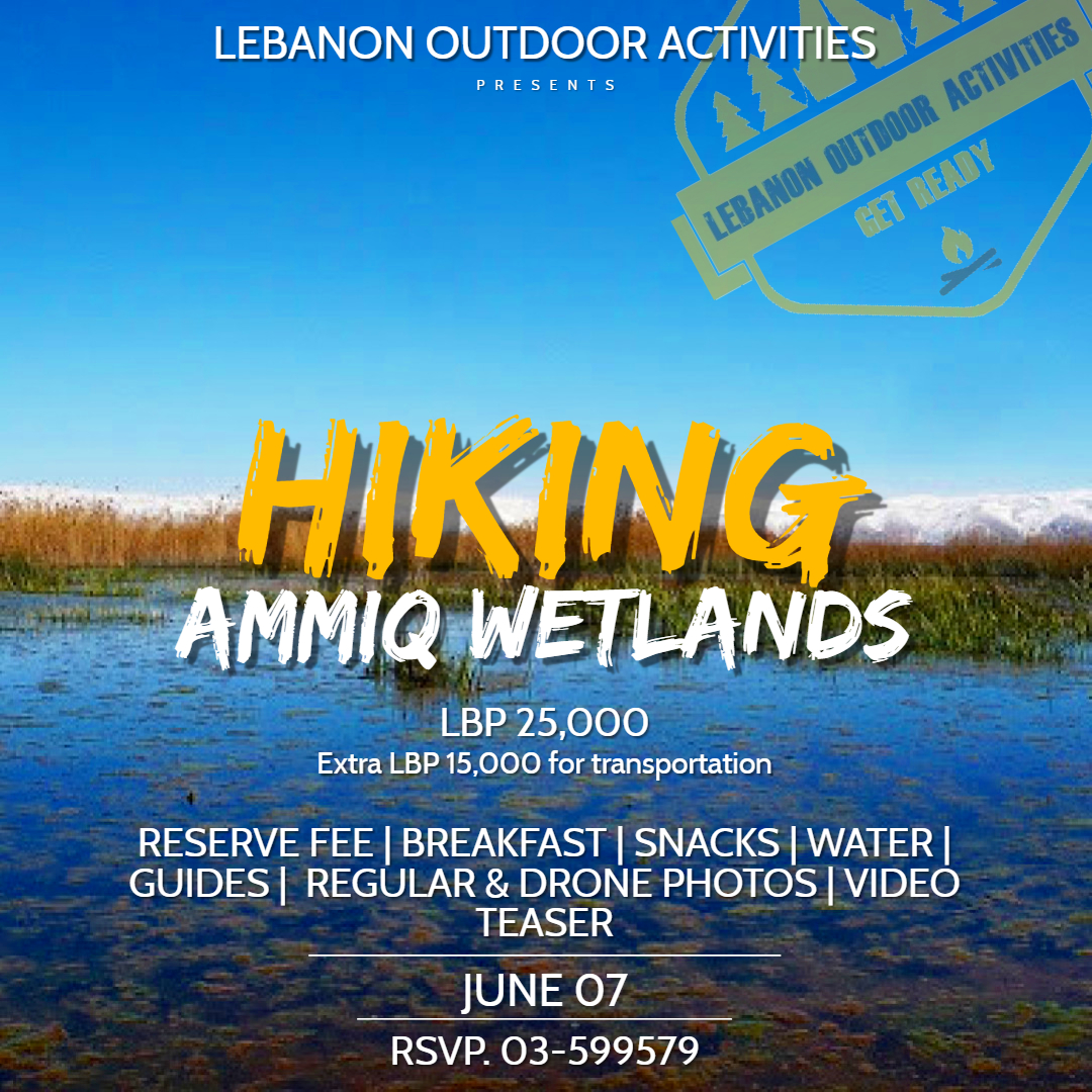 HIKING IN AMMIQ RESERVE (WETLANDS) WITH LEBANON OUTDOOR ACTIVITIES ...
